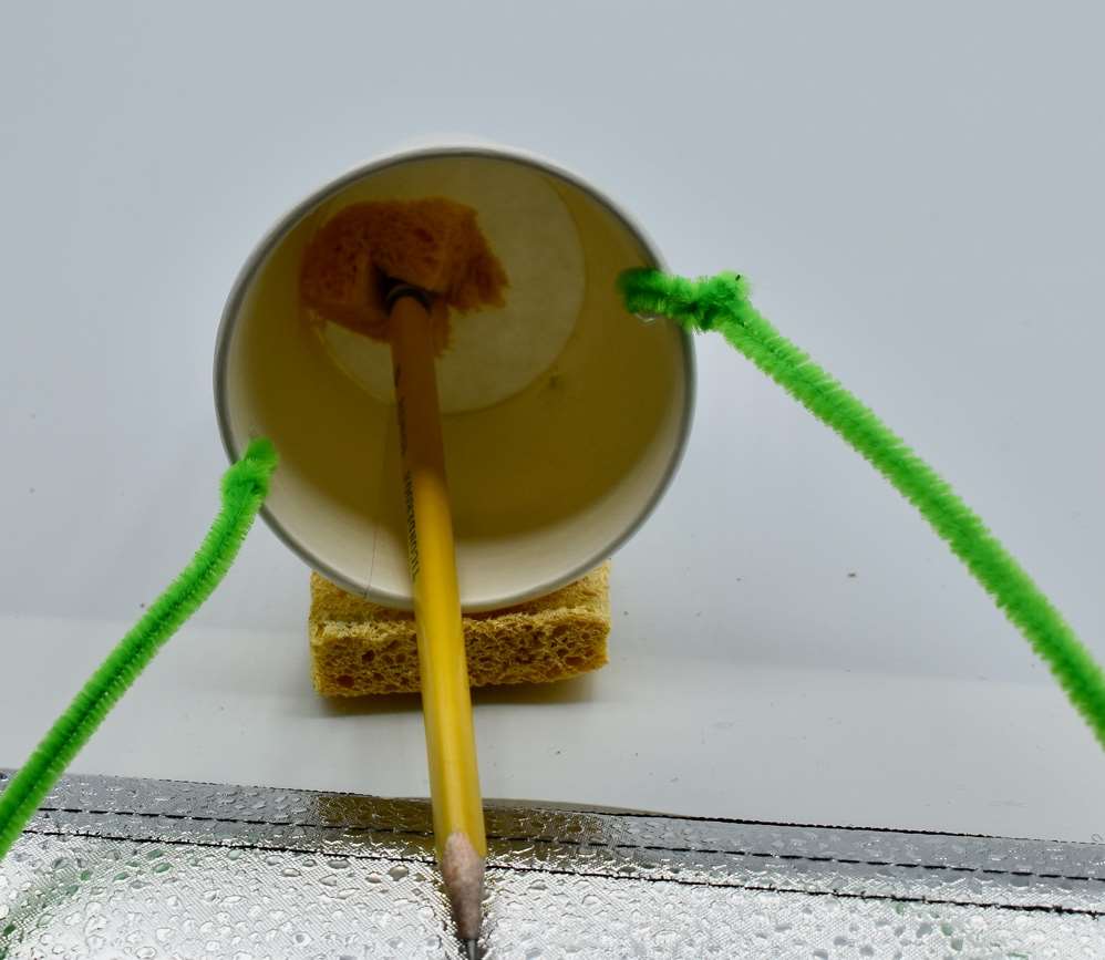 Engineering - Butterfly Feeder (April) | Okanagan Regional Library